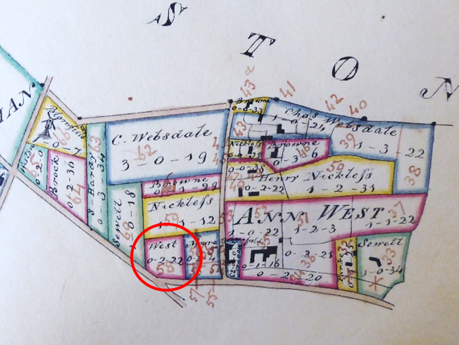 Tann's Stores :: Forncetthistory