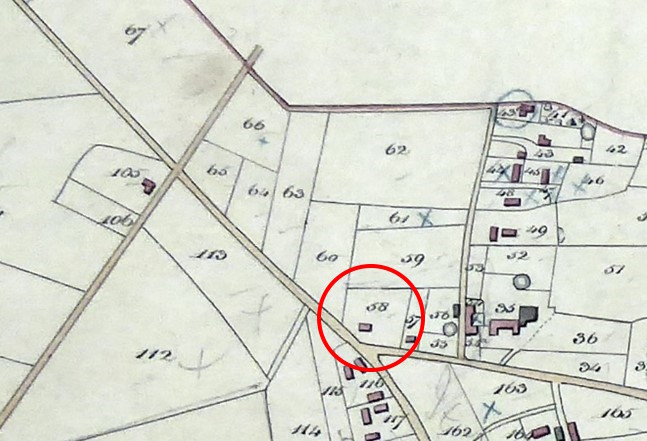 Tann's Stores :: Forncetthistory